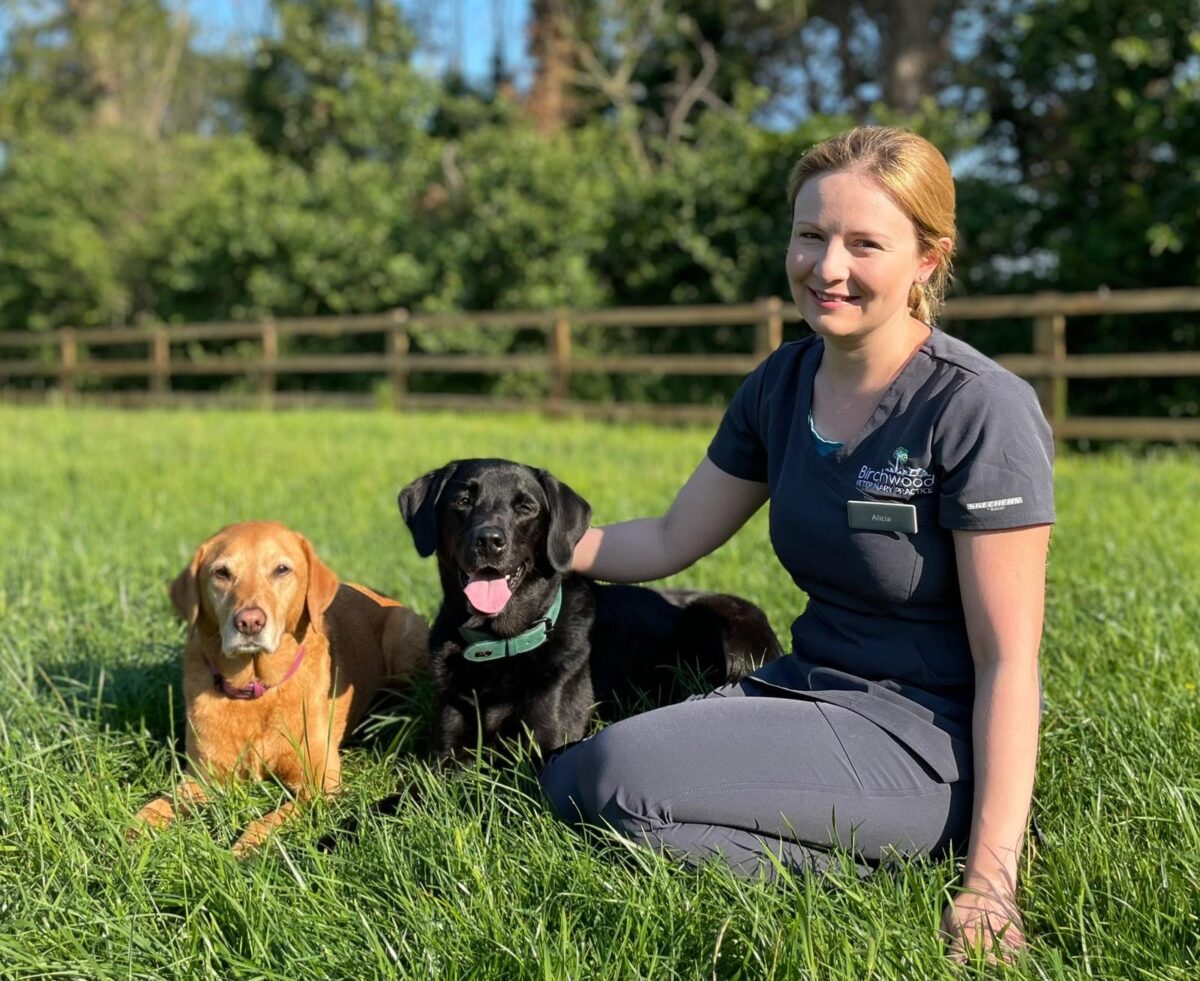 About – Birchwood Vets Veterinary Practice, Gate Helmsley, York